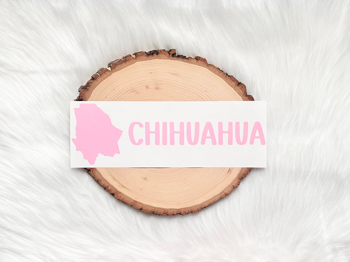 State Vinyl Decals – western poms